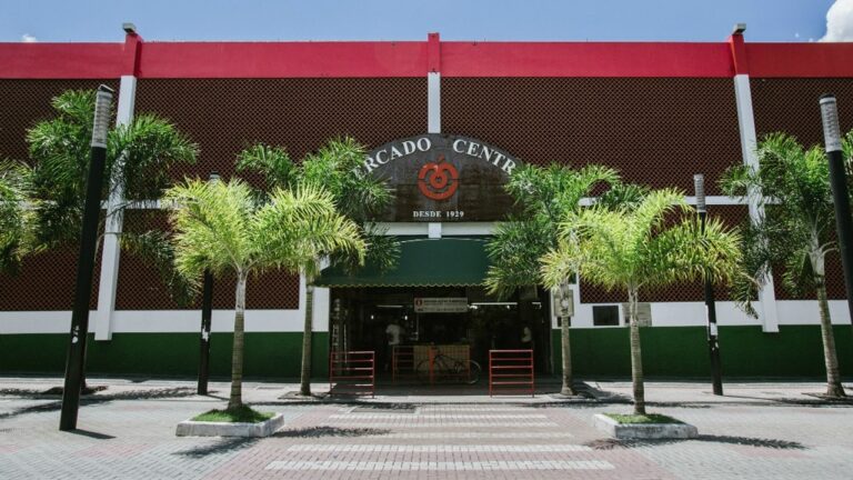Mercado Central abre votação para escolher nome da primeira mascote ...